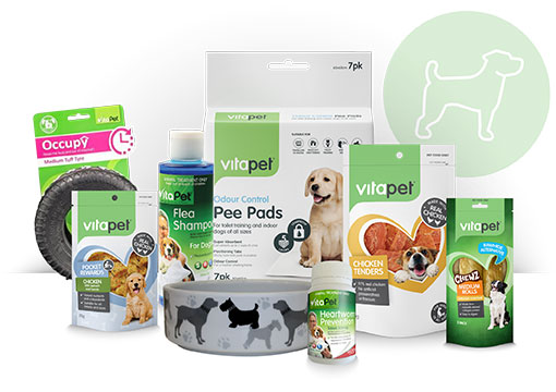 Let Us Help With Your Pet Dog - VitaPet